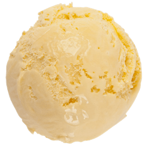 Lorimex | Sladoled-ugostiteljski